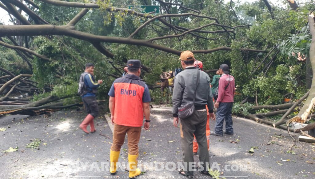 Hujan Deras Disertai Es Landa Cimahi, Pohon Tumbang Sebabkan Kemacetan Parah - News Magazine